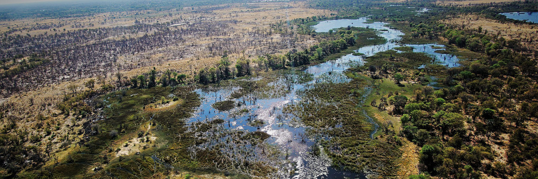 Maun and Zambezi River Tour | Wild Voyager